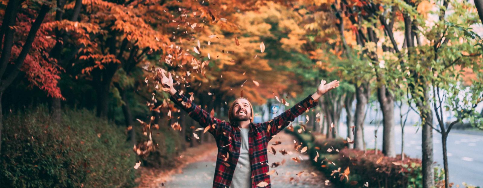 Autumn Growth Blueprint: 6 Key Strategies for Off-Season Success - Cinderhawk Creative